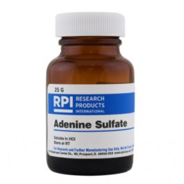 Adenine Sulfate, Adenine Hemisulfate Salt, 25 Grams CAS# 321-30-2