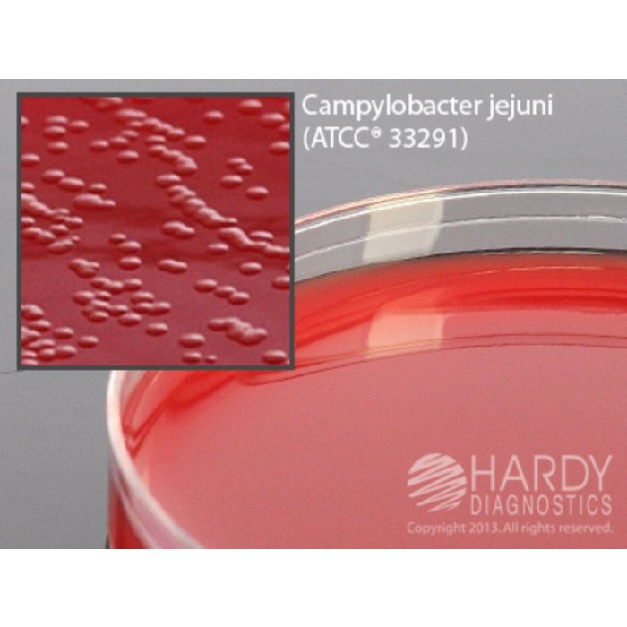 Campy Blood Agar COLUMBIA CNA AGAR, Dehydrated, 500g [BD 212104]